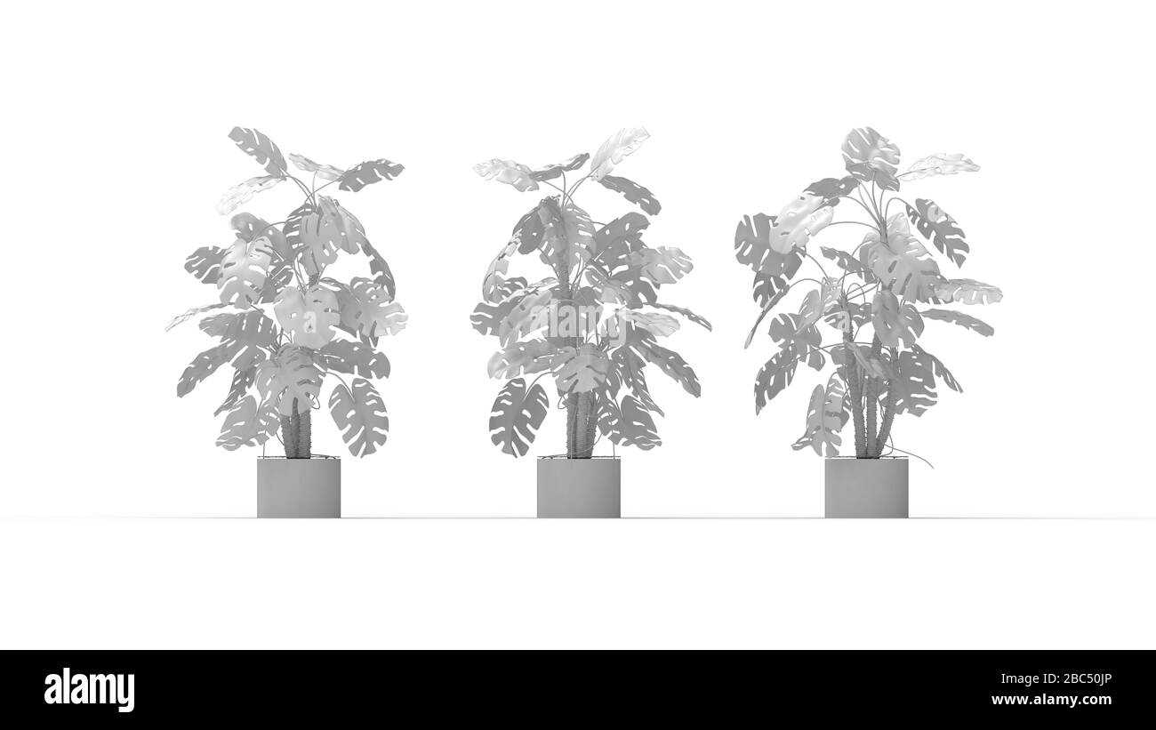 3D rendering of a house plant model computer generated Stock Photo - Alamy