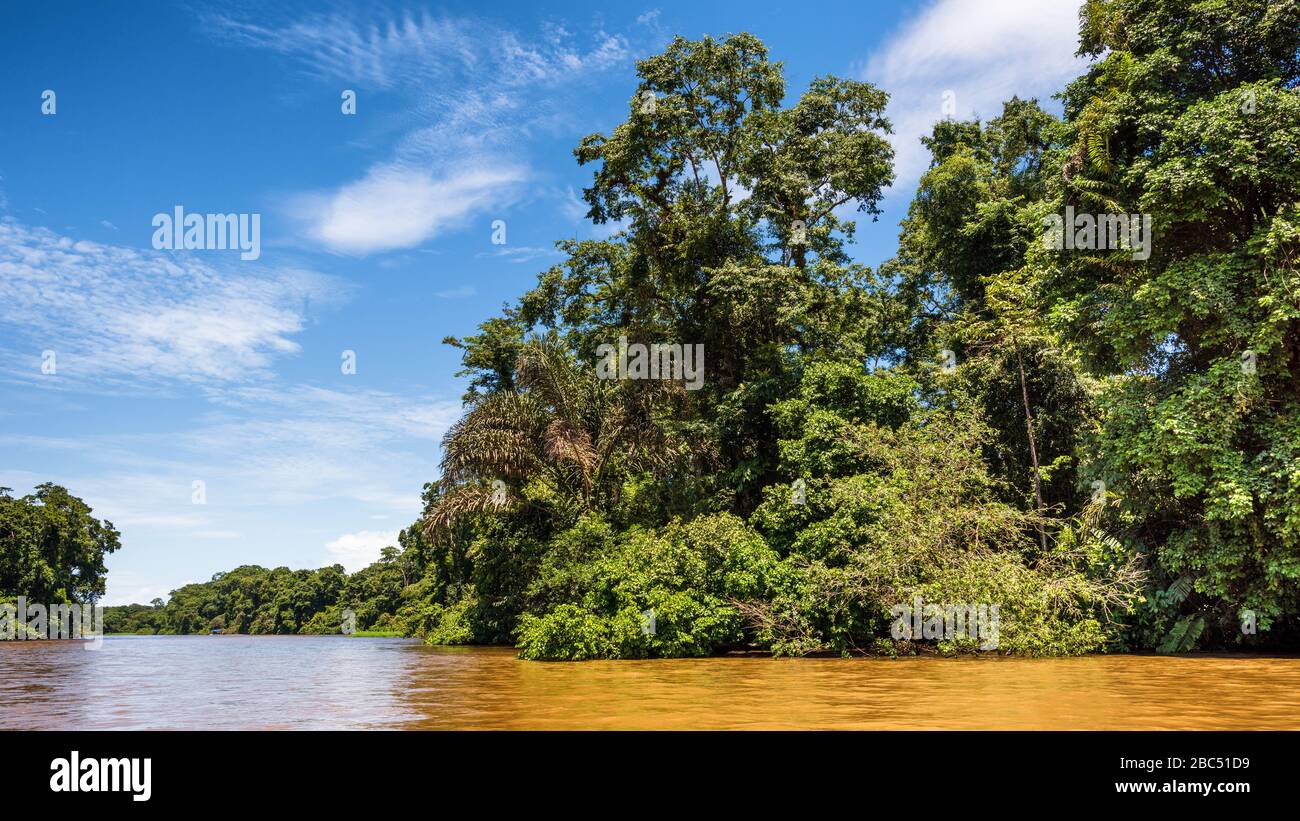 Tortuguero national park costa rica hi-res stock photography and images ...
