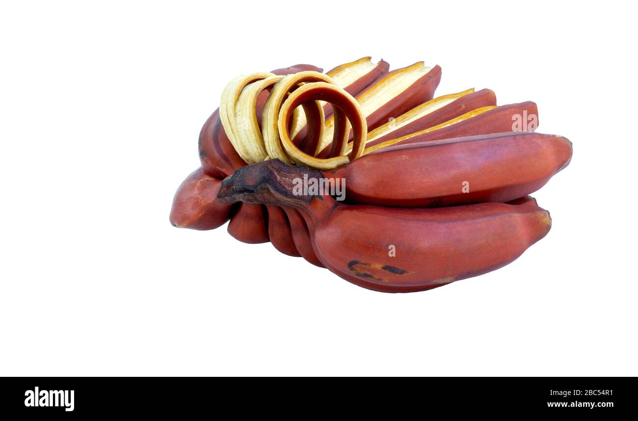 fresh red banana isolated on white background. group of varieties of ...
