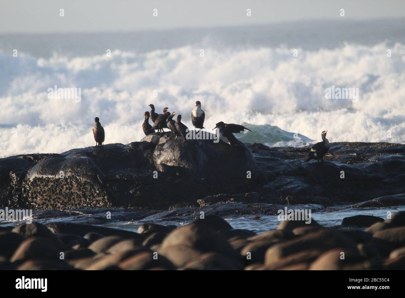 Nahoon beach hi-res stock photography and images - Alamy