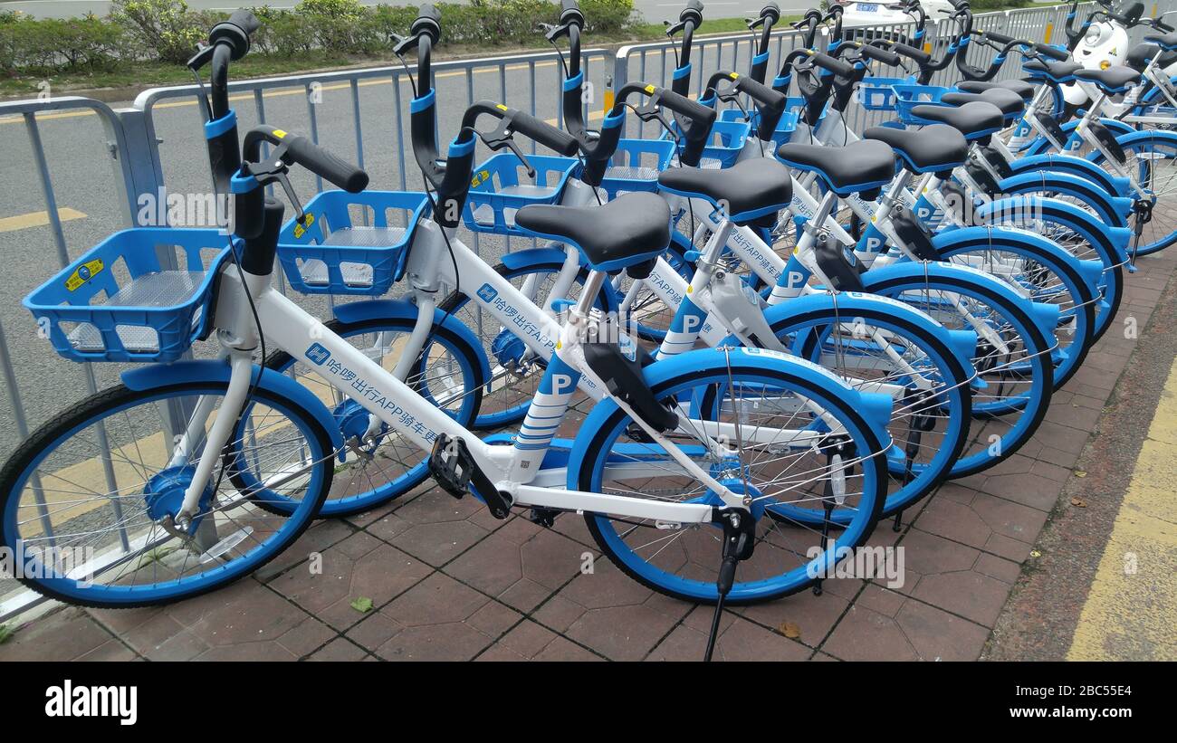 Shenzhen, China: New Hello bikes on the street, you can ride without a ...