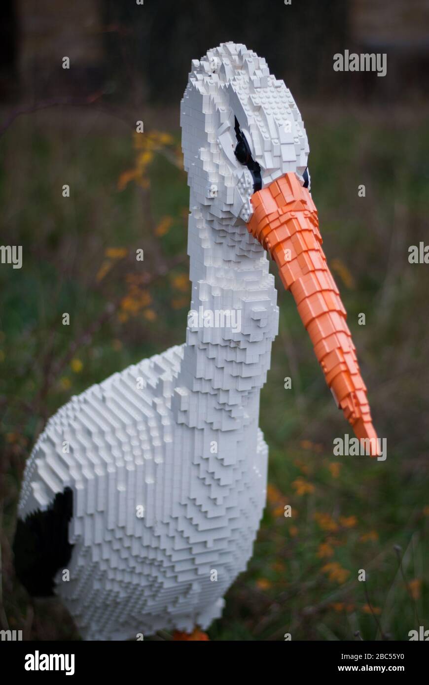 Swan Bird Lego Brick Collection Wetland Centre, Queen Elizabeth's Walk ...