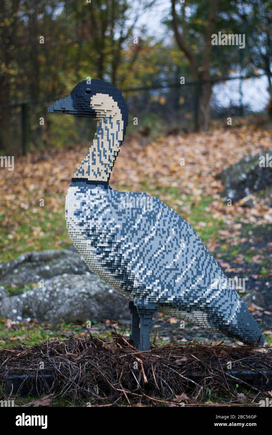 Geese Goose Bird Lego Brick Collection at Wetland Centre, Queen ...