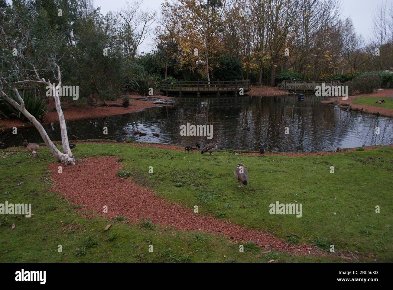 Barnes pond hi-res stock photography and images - Alamy