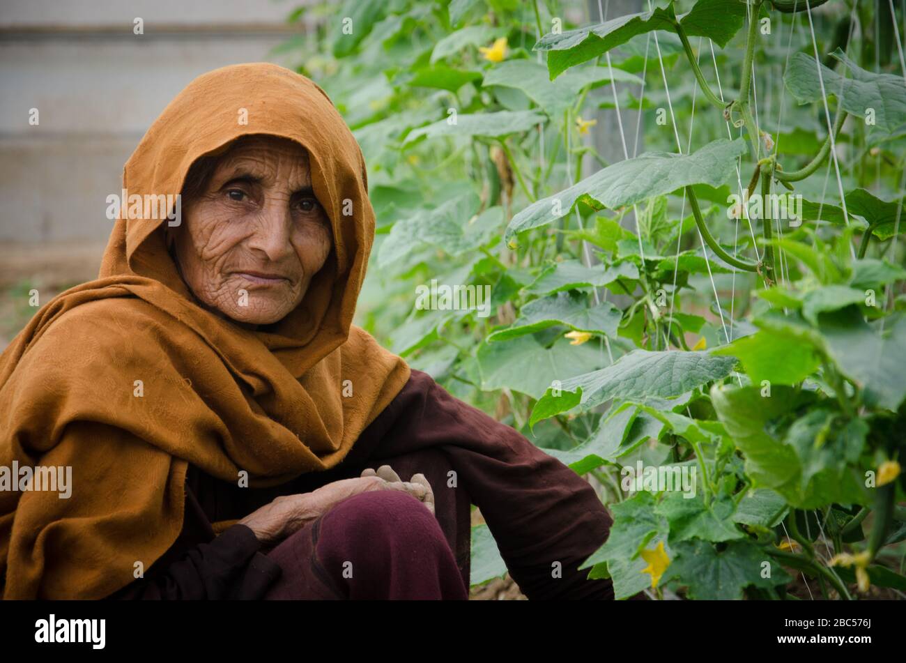 Women pakistan work hi-res stock photography and images - Alamy