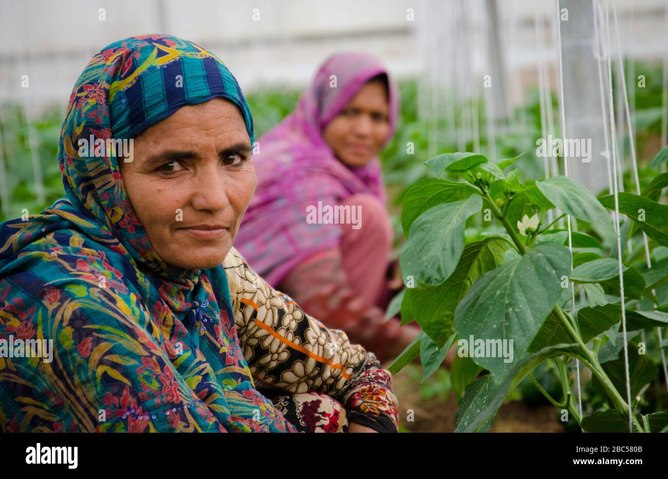Farm farms work worker workers farming hi-res stock photography and ...