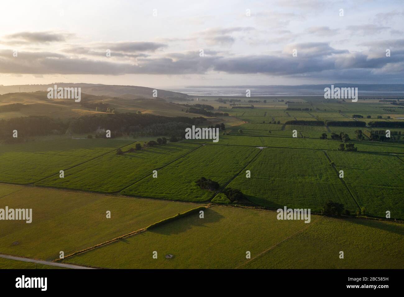 Ruawai hi-res stock photography and images - Alamy