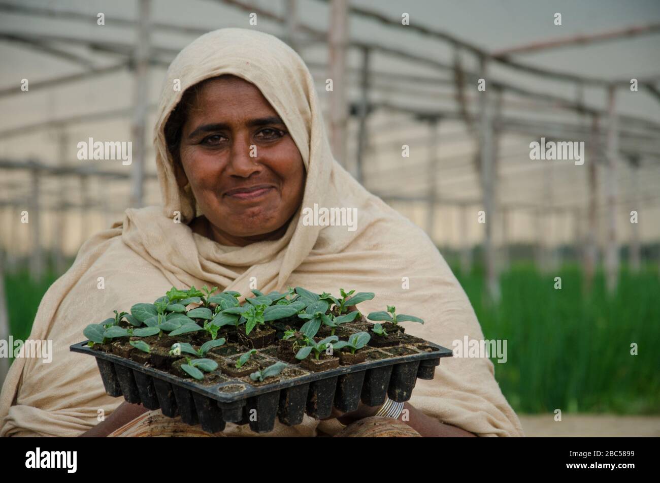 Sughran hi-res stock photography and images - Alamy