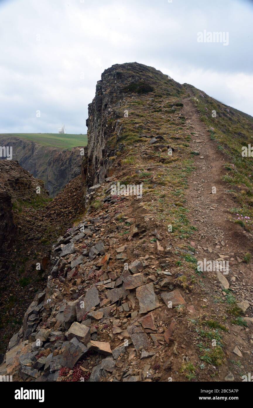 Footpath on the Cliff Edge at Steeple Point above Duckpool Bay on the ...
