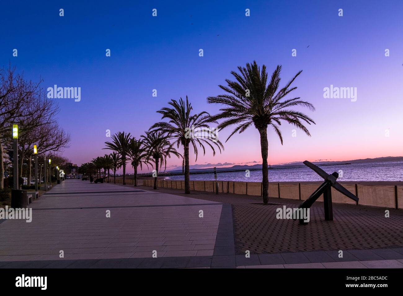 Roses on Costa Brava, Catalonia, Spain Stock Photo - Alamy