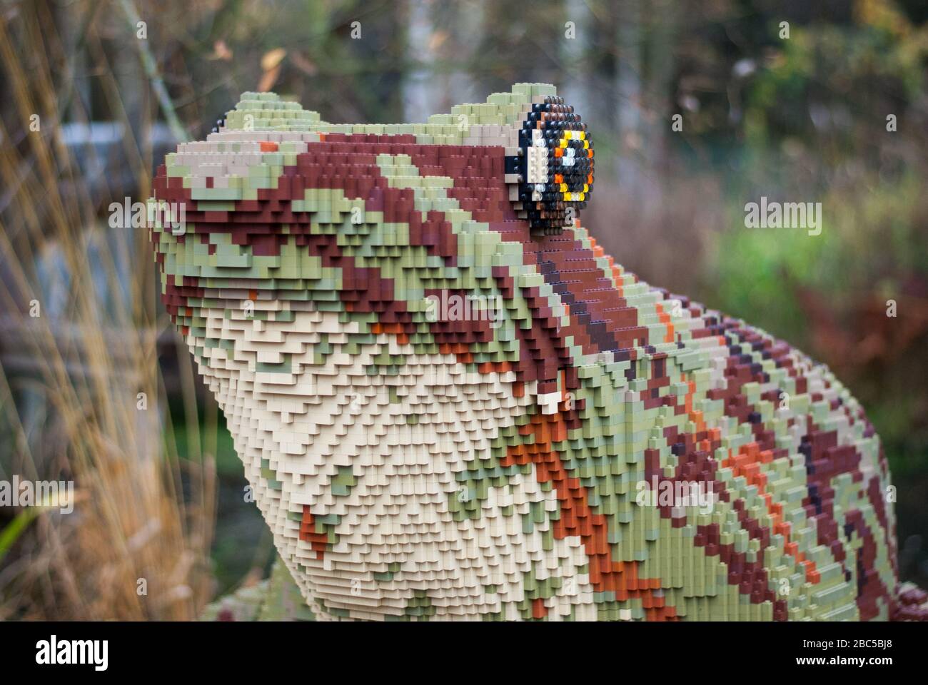 Fred the Frog Lego Brick Collection Detail Wetland Centre, Queen ...