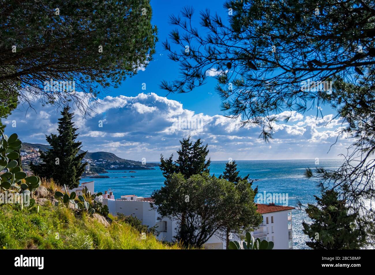 Roses on Costa Brava, Catalonia, Spain Stock Photo - Alamy