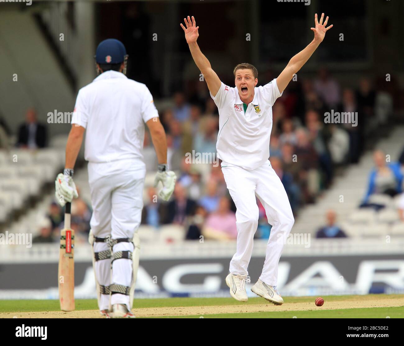 South Africa's Morne Morkel Stock Photo - Alamy
