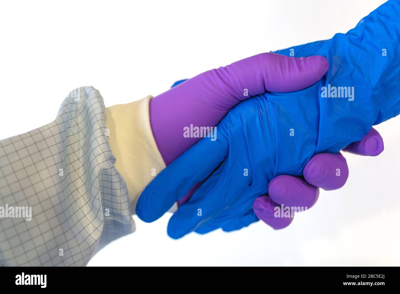 handshake in a blue and purple gloves isolated on white background ...
