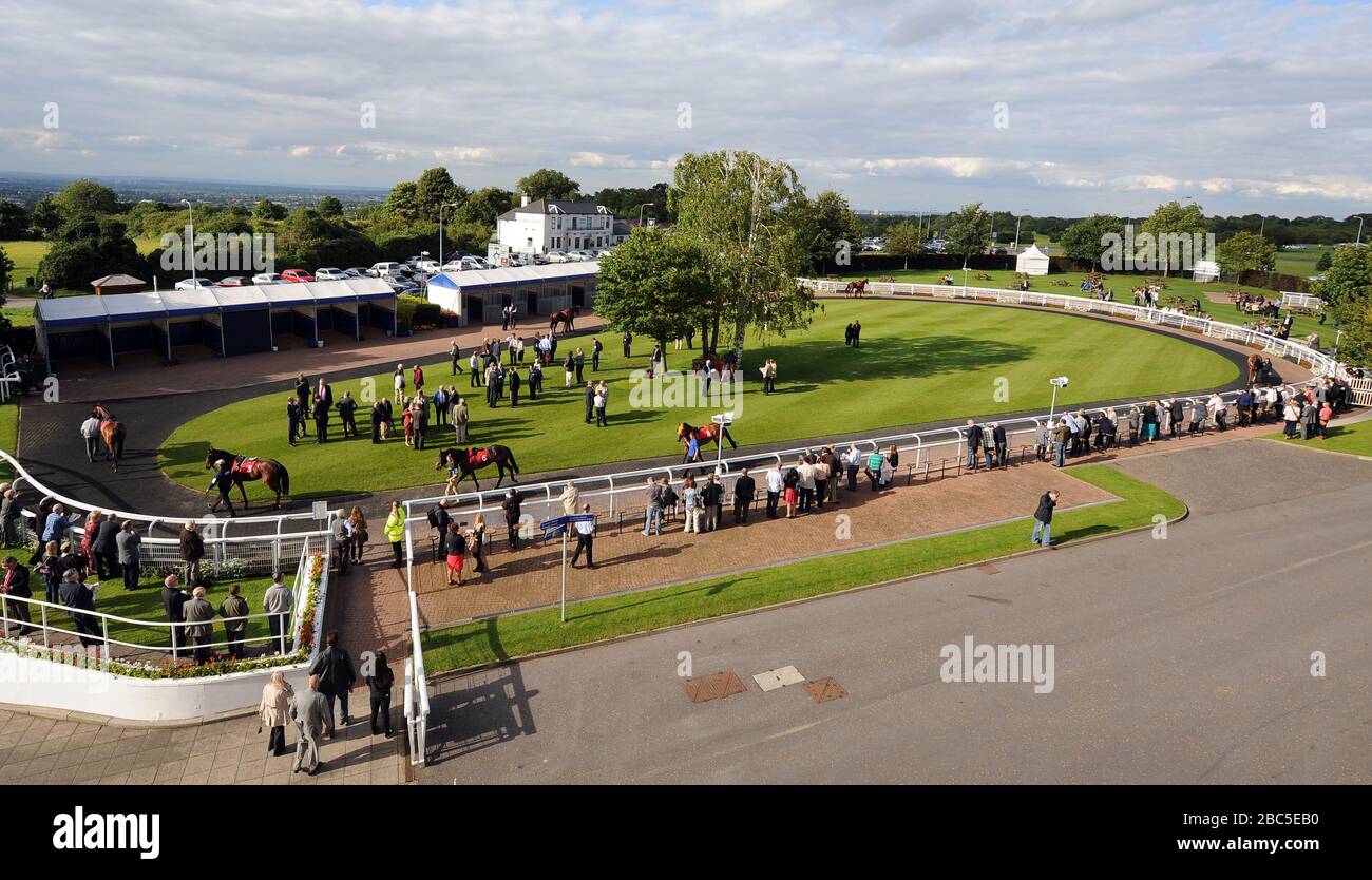 General view of the parade ring at Epsom Downs Racecourse Stock Photo ...