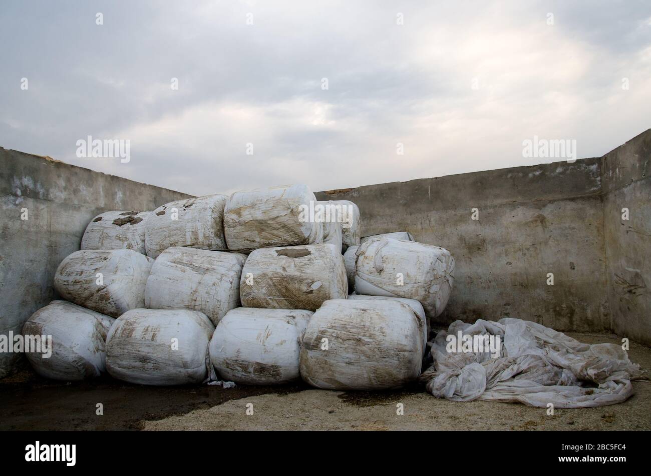 Silage bails in storage at a dairy farm in Nowshehra, Pakistan Stock ...