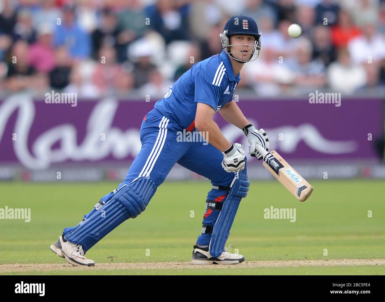 Jonathan Trott, England Stock Photo - Alamy