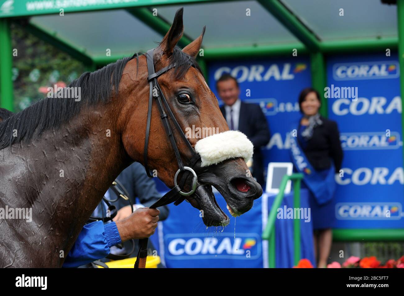 Victory falls hi-res stock photography and images - Alamy