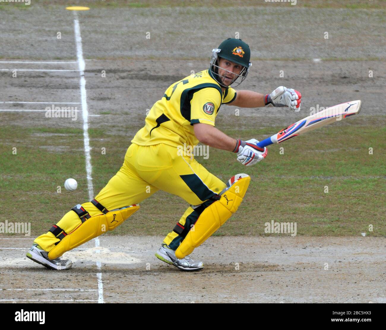Australia's Matthew Wade Stock Photo - Alamy