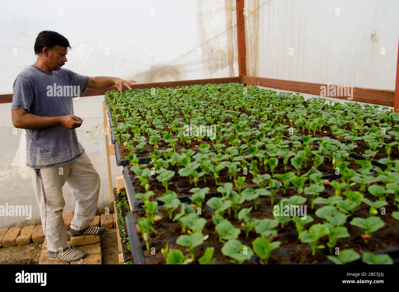 Obaid hi-res stock photography and images - Alamy