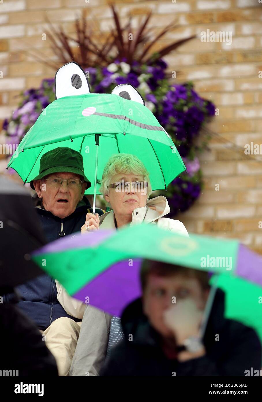 Fans with umbrellas during a rain delay Stock Photo - Alamy