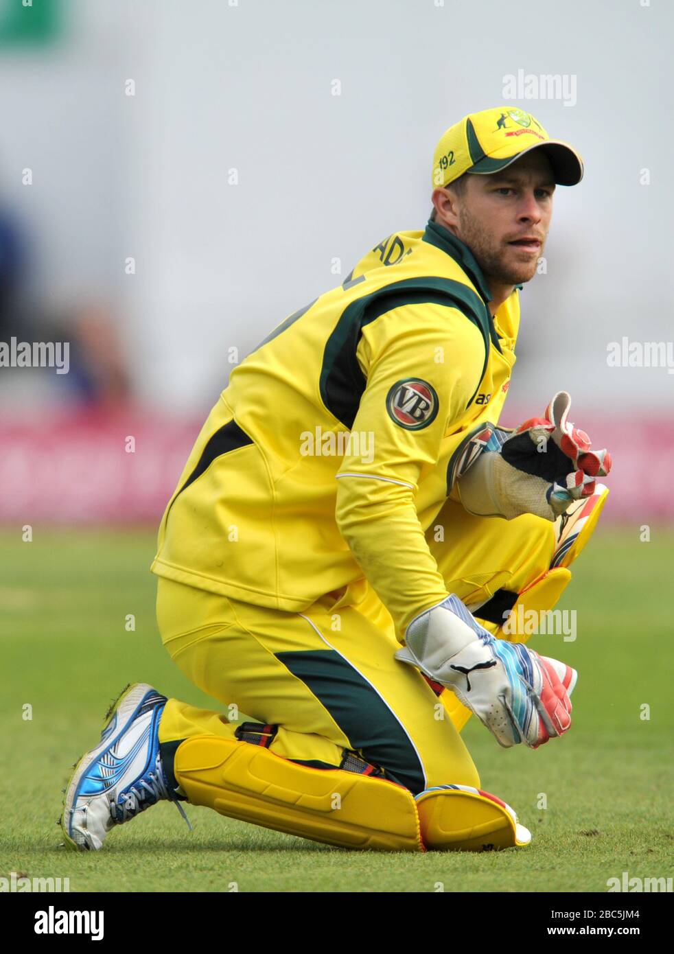 Matthew Wade, Australia wicketkeeper Stock Photo - Alamy
