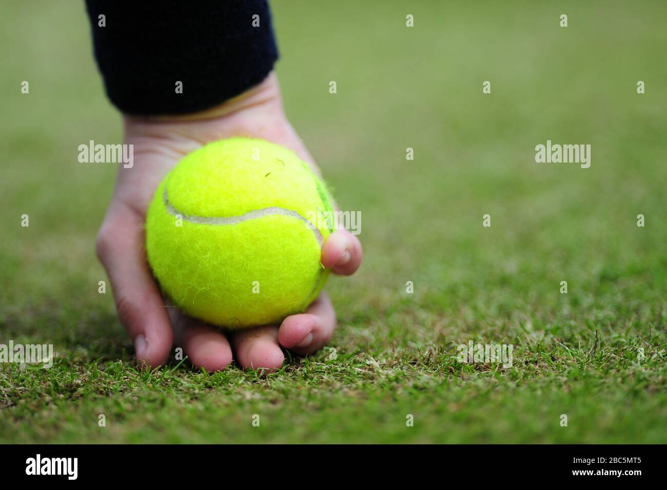Detail of a ball-boy with ball in hand Stock Photo - Alamy