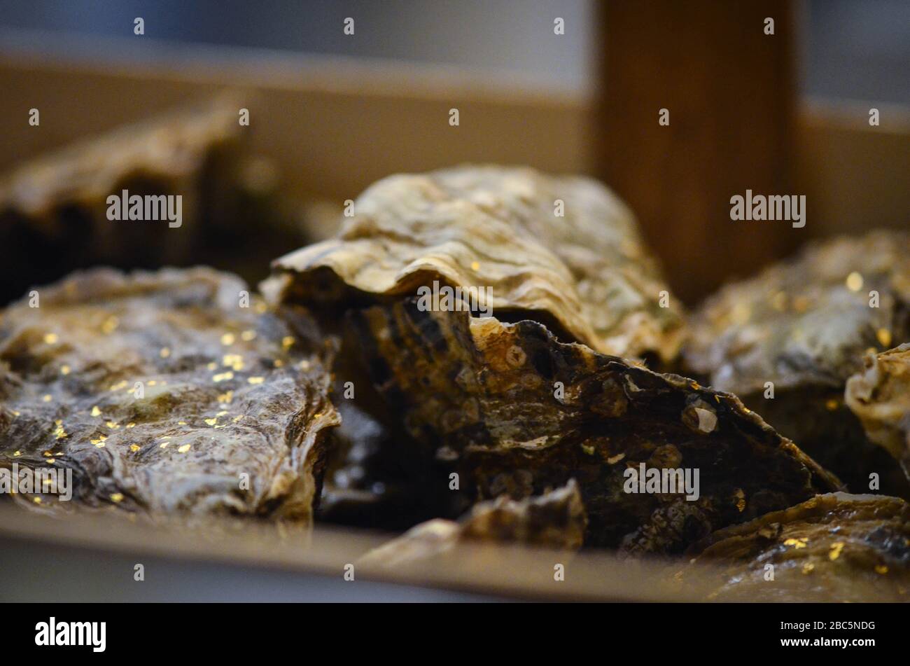 fresh mix seafood within the local italian fish market Stock Photo - Alamy