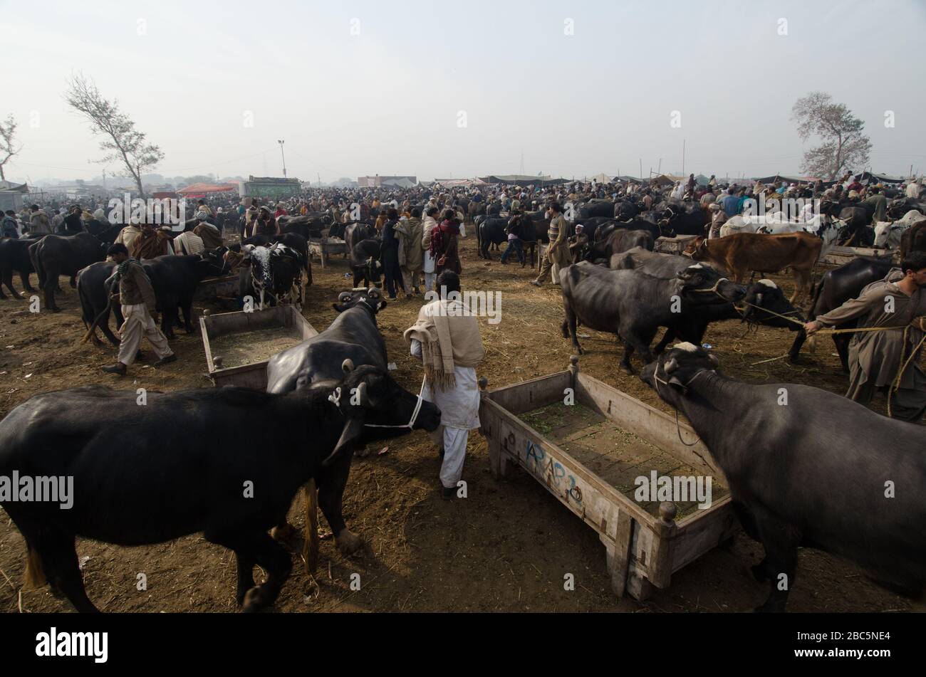 Lahore pakistan market hi-res stock photography and images - Alamy