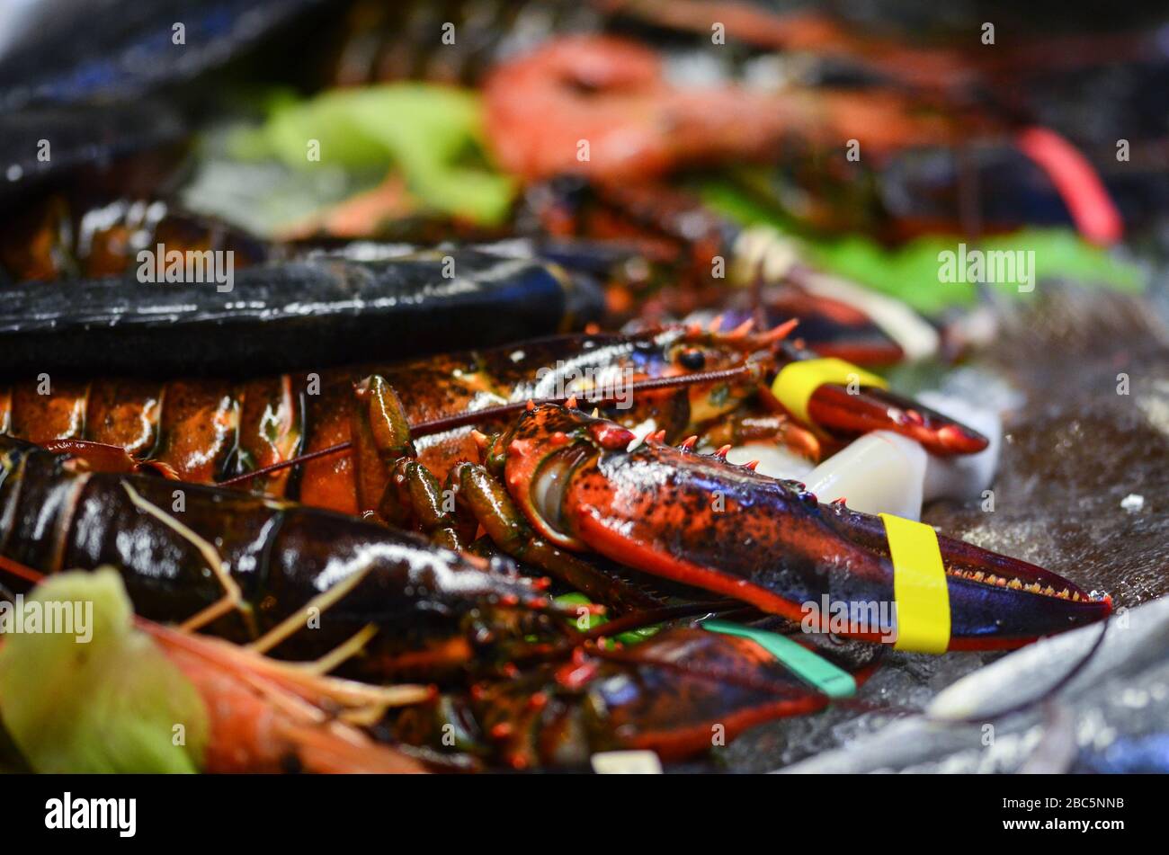 fresh mix seafood within the local italian fish market Stock Photo - Alamy