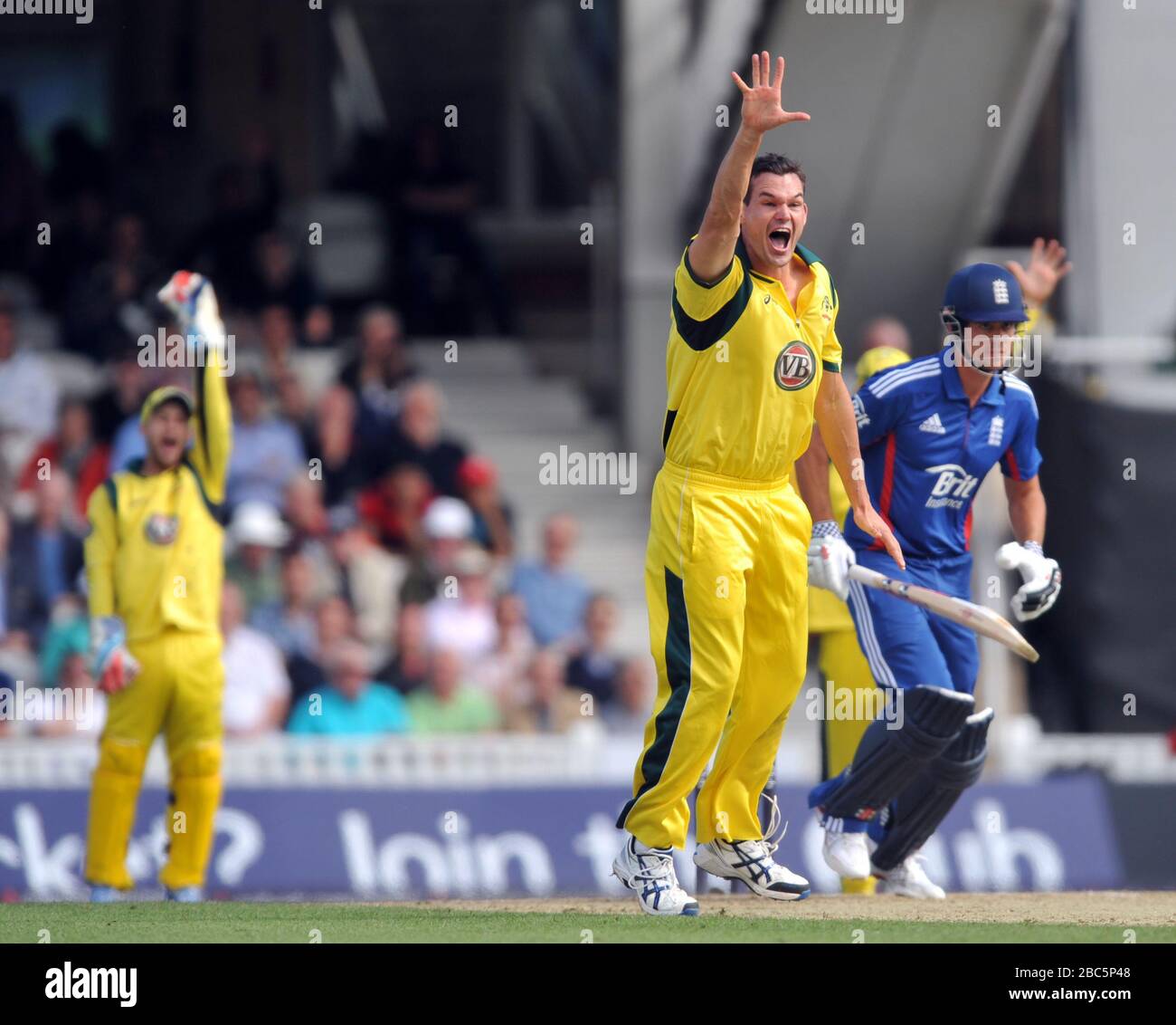 Australia's Clint McKay succesfully appeals for the wicket of Alaister ...