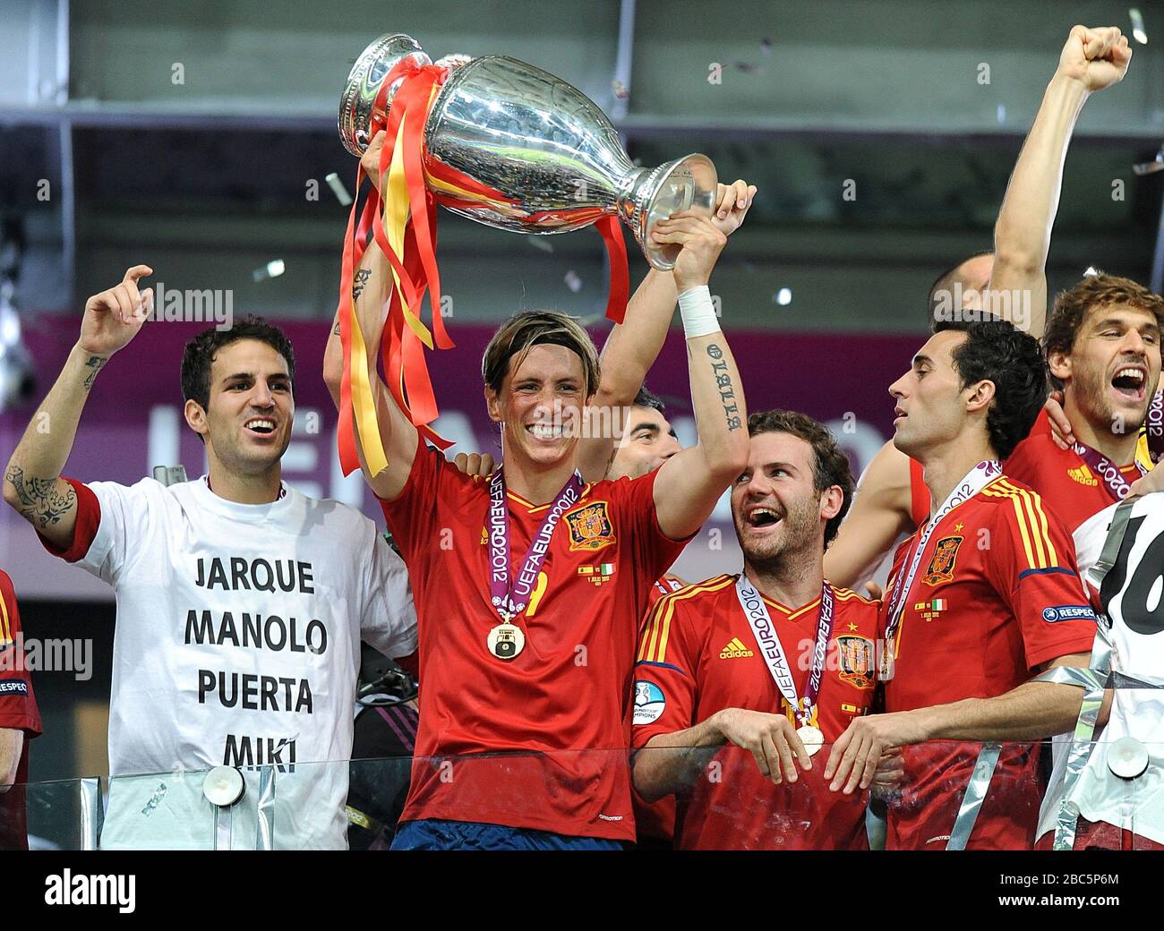 Spain's Fernando Torres (centre) celebrates with team-mates and the ...