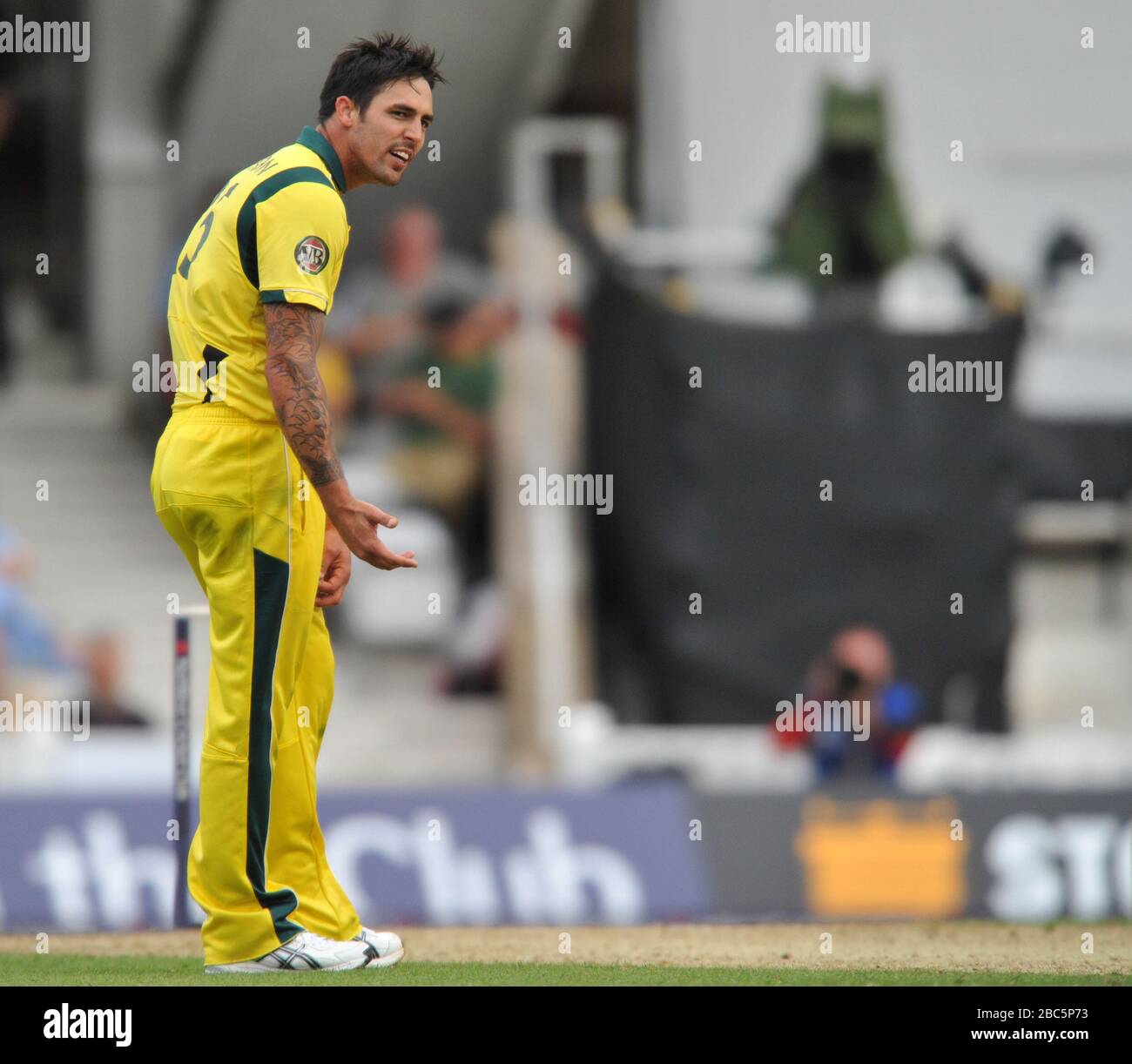 Michelle Johnson Cricket