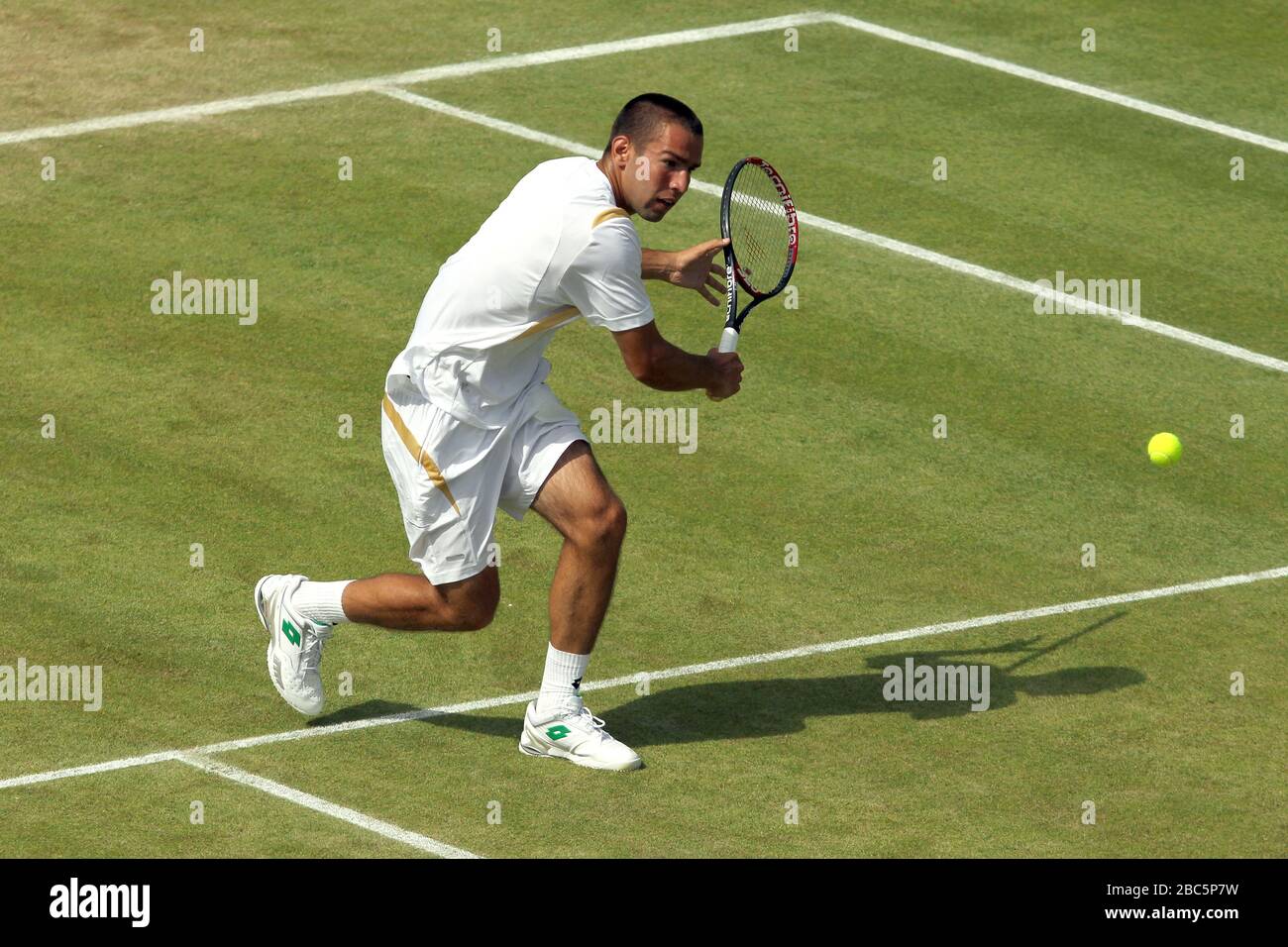 Vaclav safranek hi-res stock photography and images - Alamy