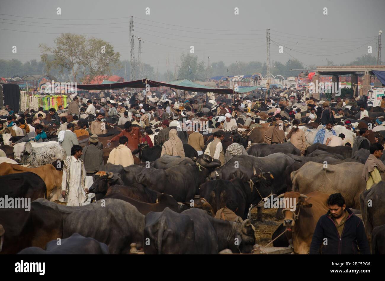 Lahore pakistan market hi-res stock photography and images - Alamy