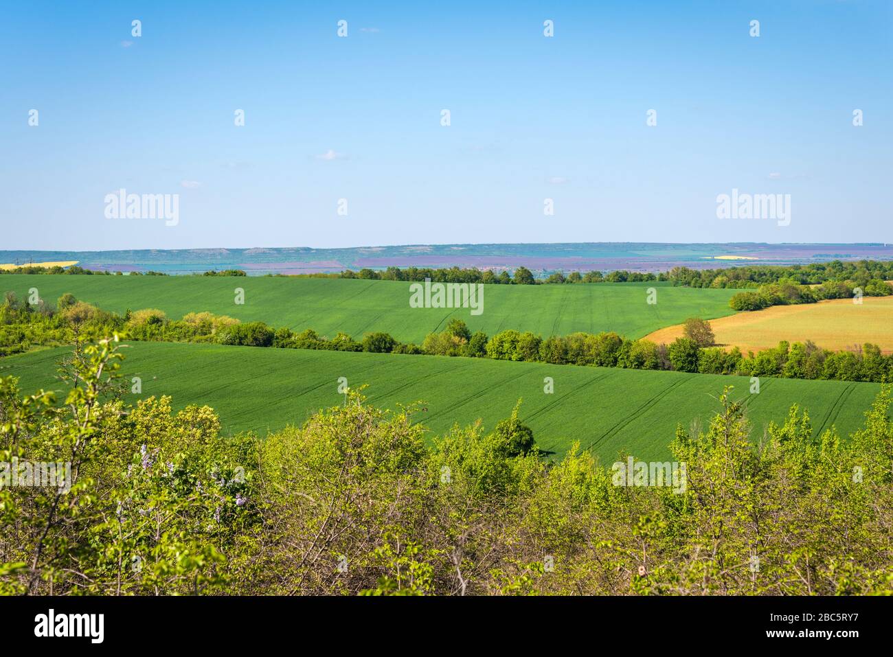 Green field landscape. Spring landscape. Bulgarian countryside ...