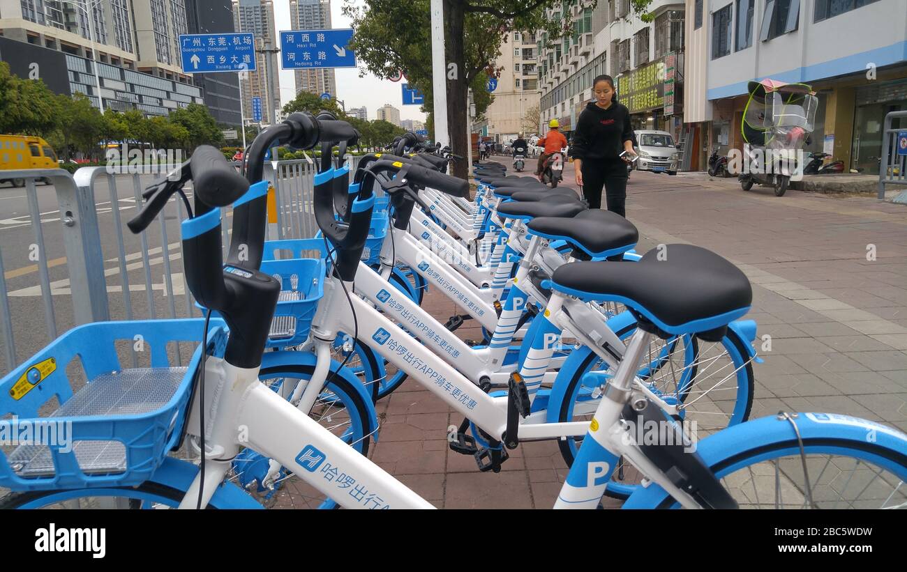 Shenzhen, China: New Hello bikes on the street, you can ride without a ...
