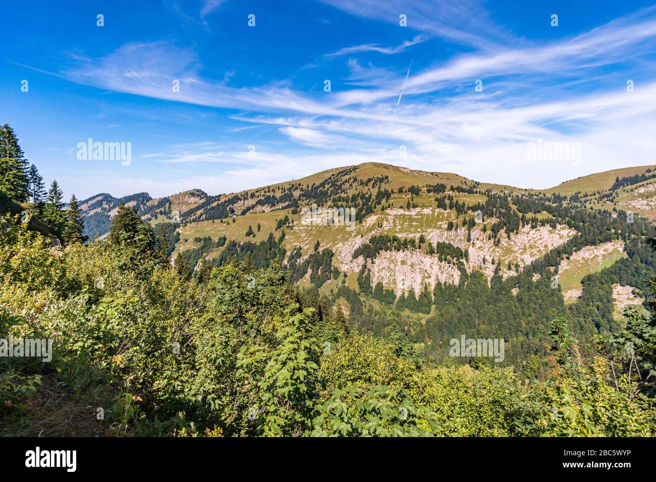 Balderschwang hi-res stock photography and images - Alamy