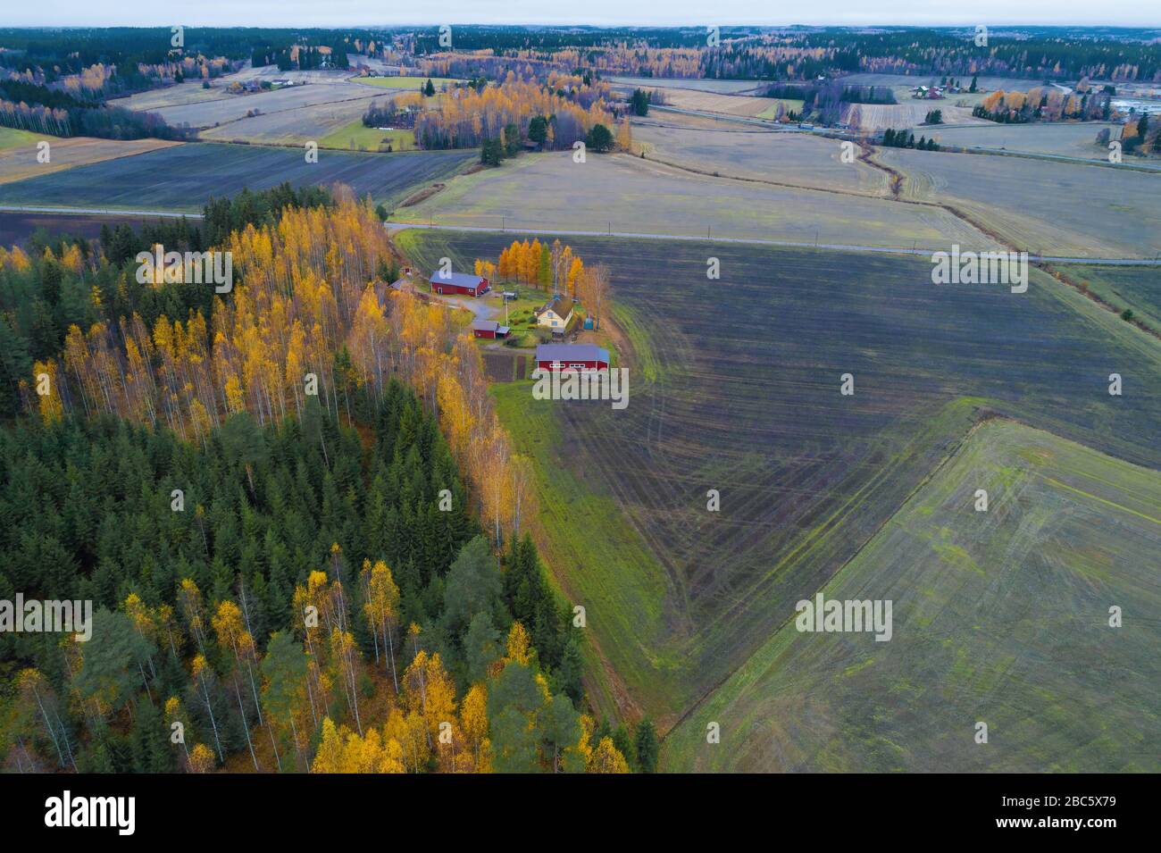 Rural landscape on a cloudy October day (aerial photography). Finland ...