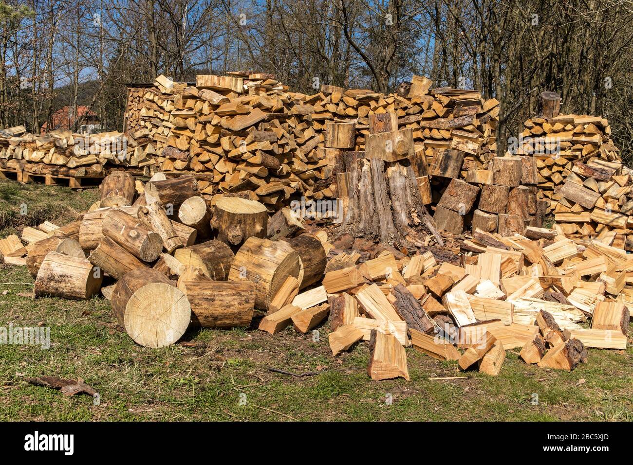 Ecological fuel. Pile wood. Stacks of Firewood. Preparation of firewood ...