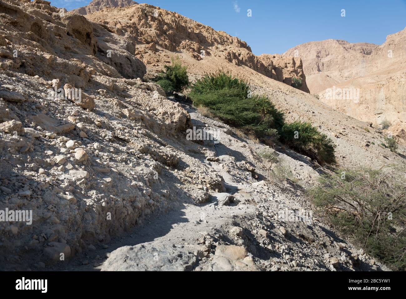 Ein Gedi National Park at Southern Israel, during winter Stock Photo ...