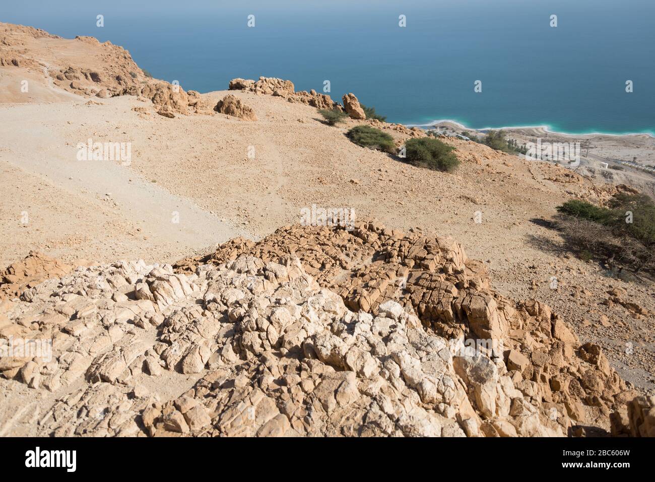 Ein Gedi National Park at Southern Israel, during winter Stock Photo ...
