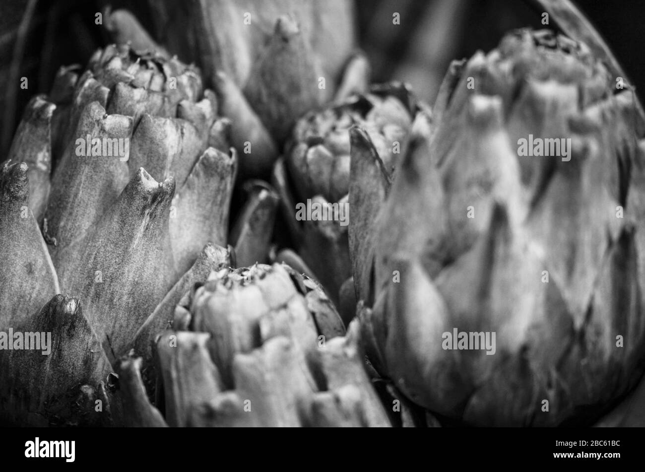 Horticulture harvest fresh organic Black and White Stock Photos ...