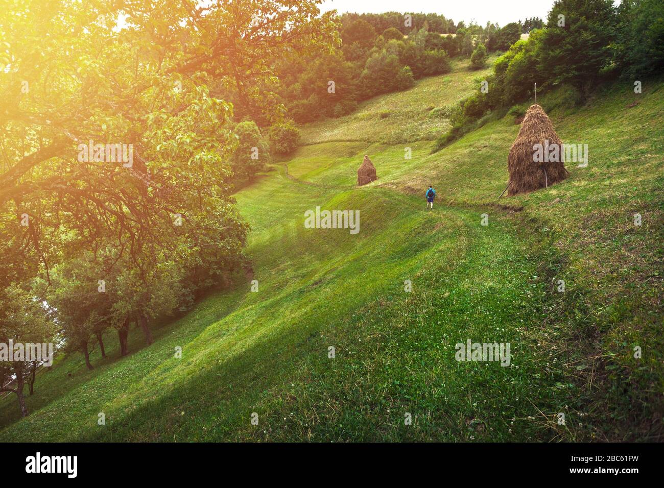 Rural landscape small village houses and haystacks Stock Photo - Alamy
