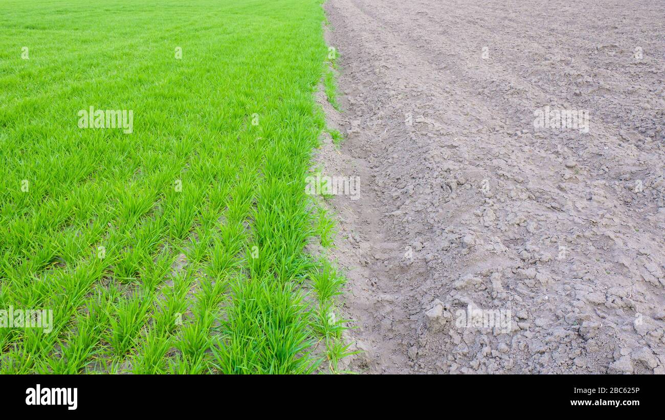 Agriculture land before planting hi-res stock photography and images ...