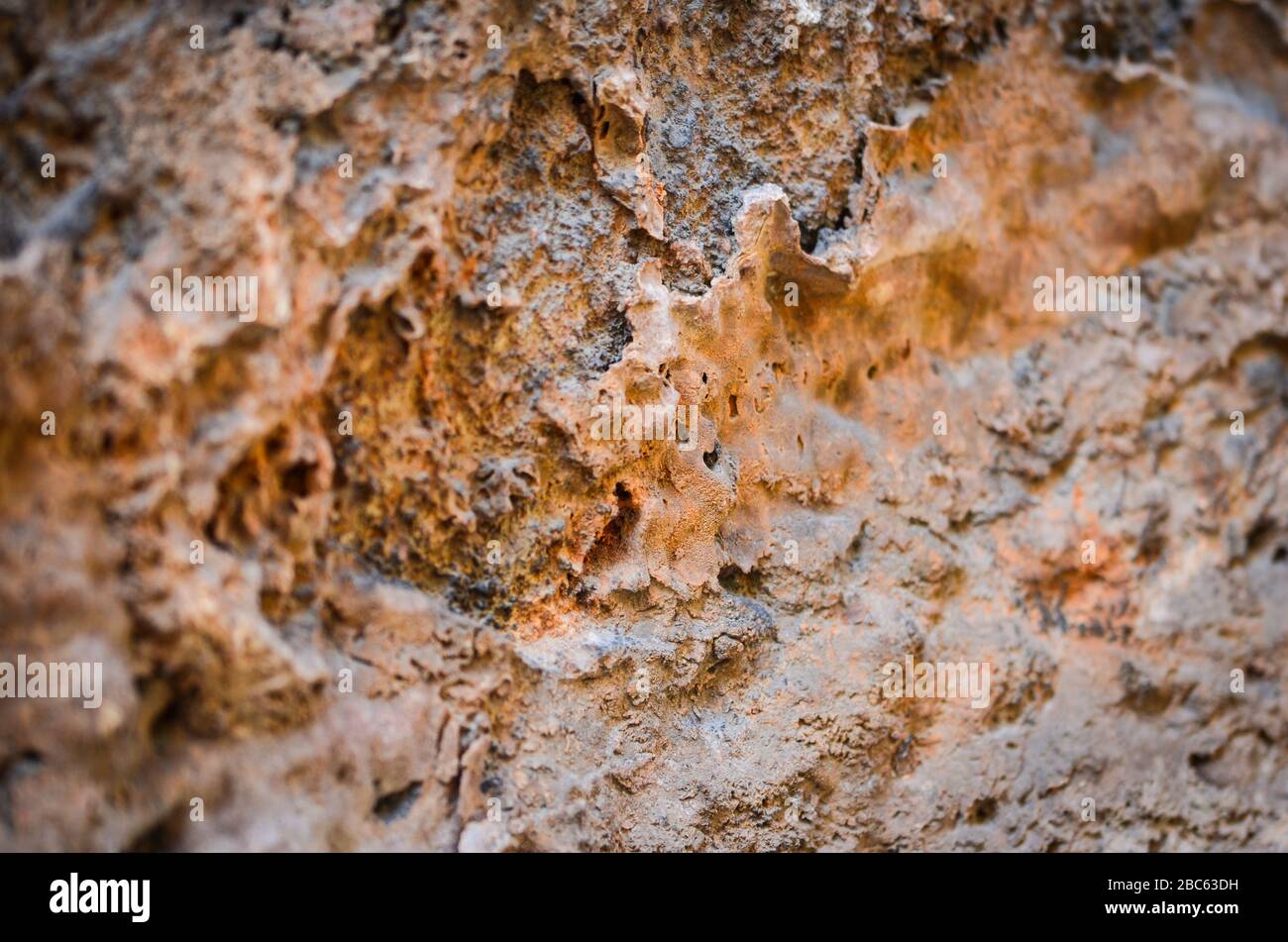 designed bricks & stone wall - close up view within the historical ...