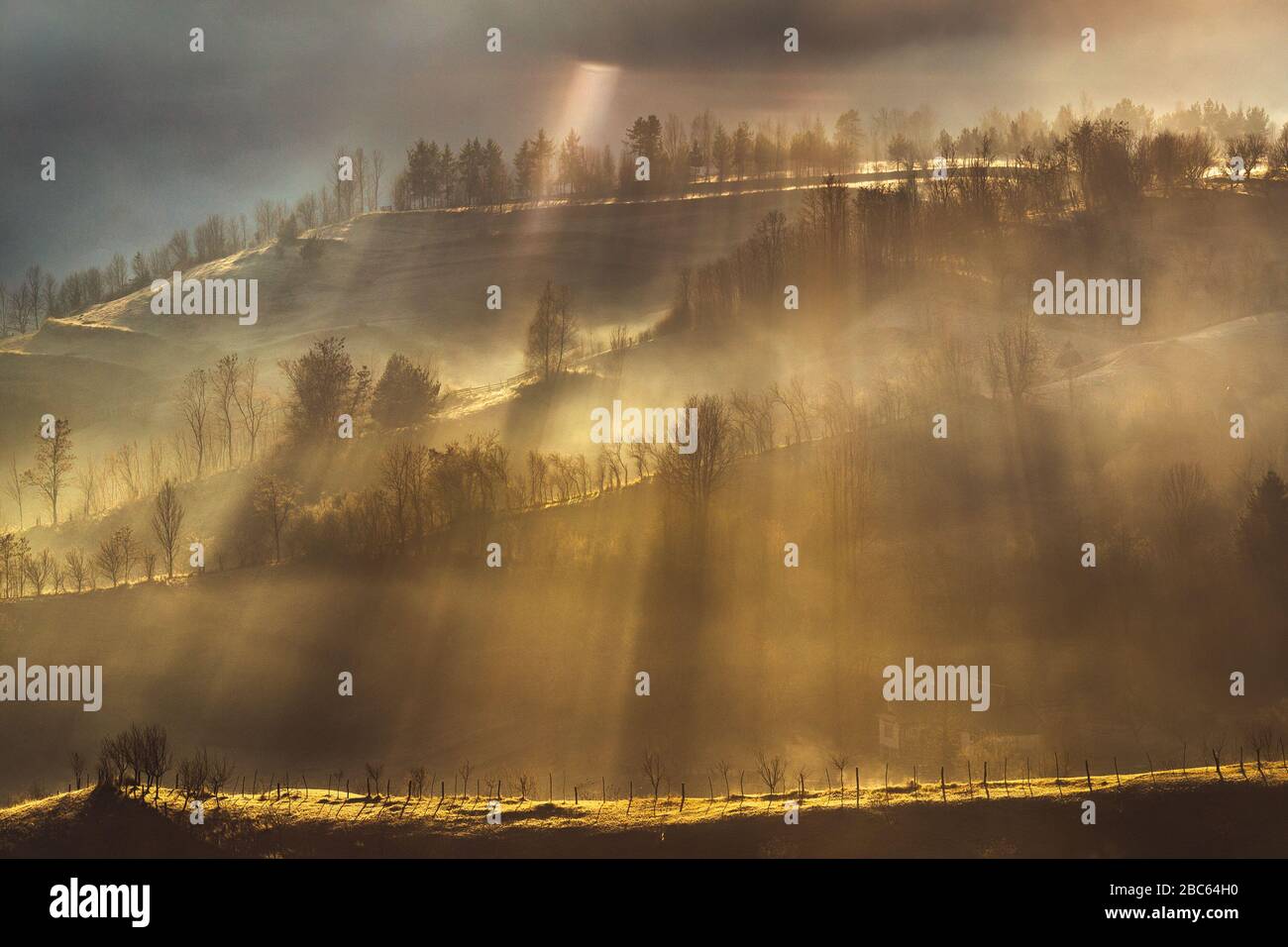 Sunlight filtered through mist hi-res stock photography and images - Alamy