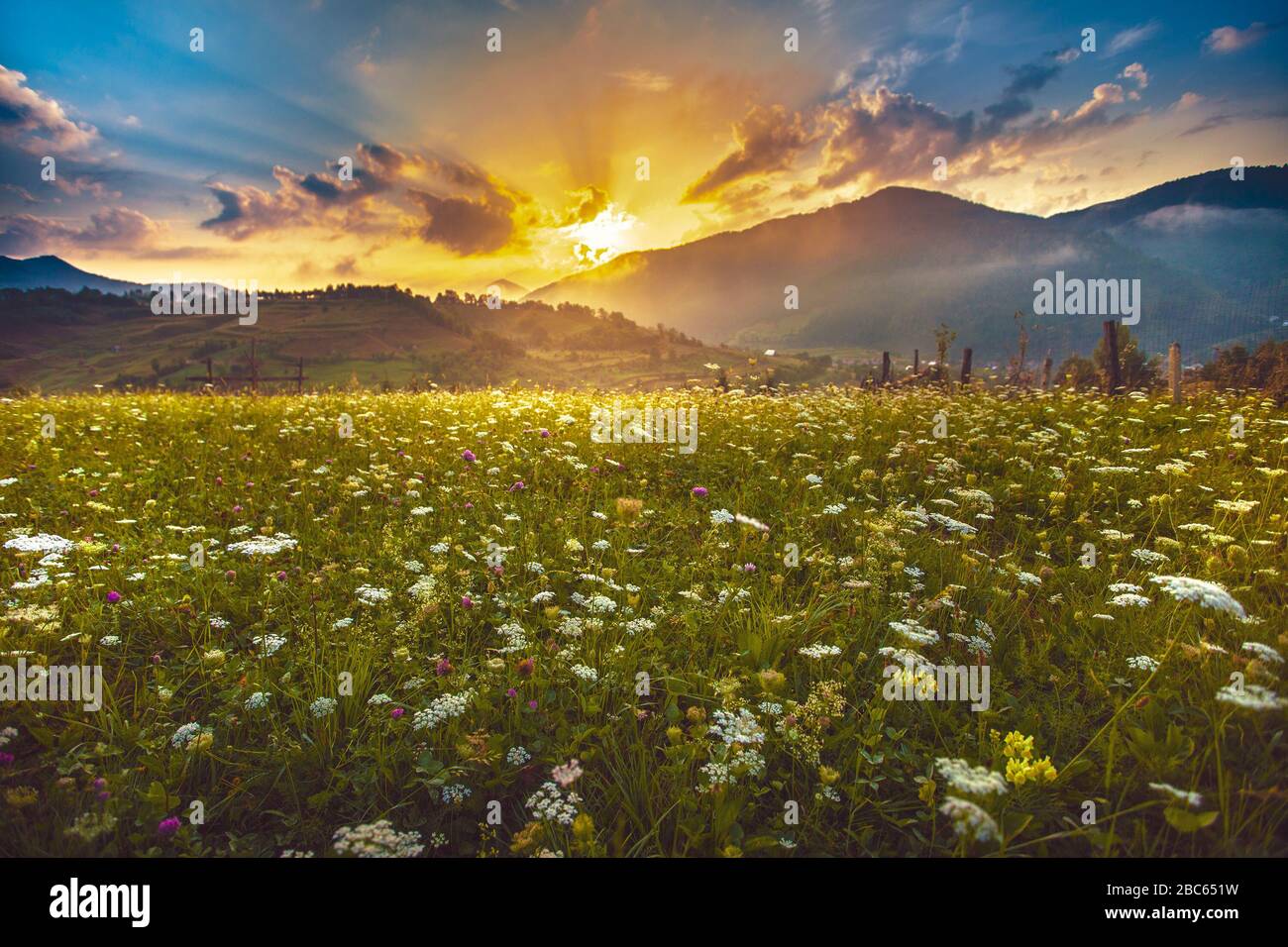 Beautiful simple landscape on the hills, flowers and beautiful clouds ...