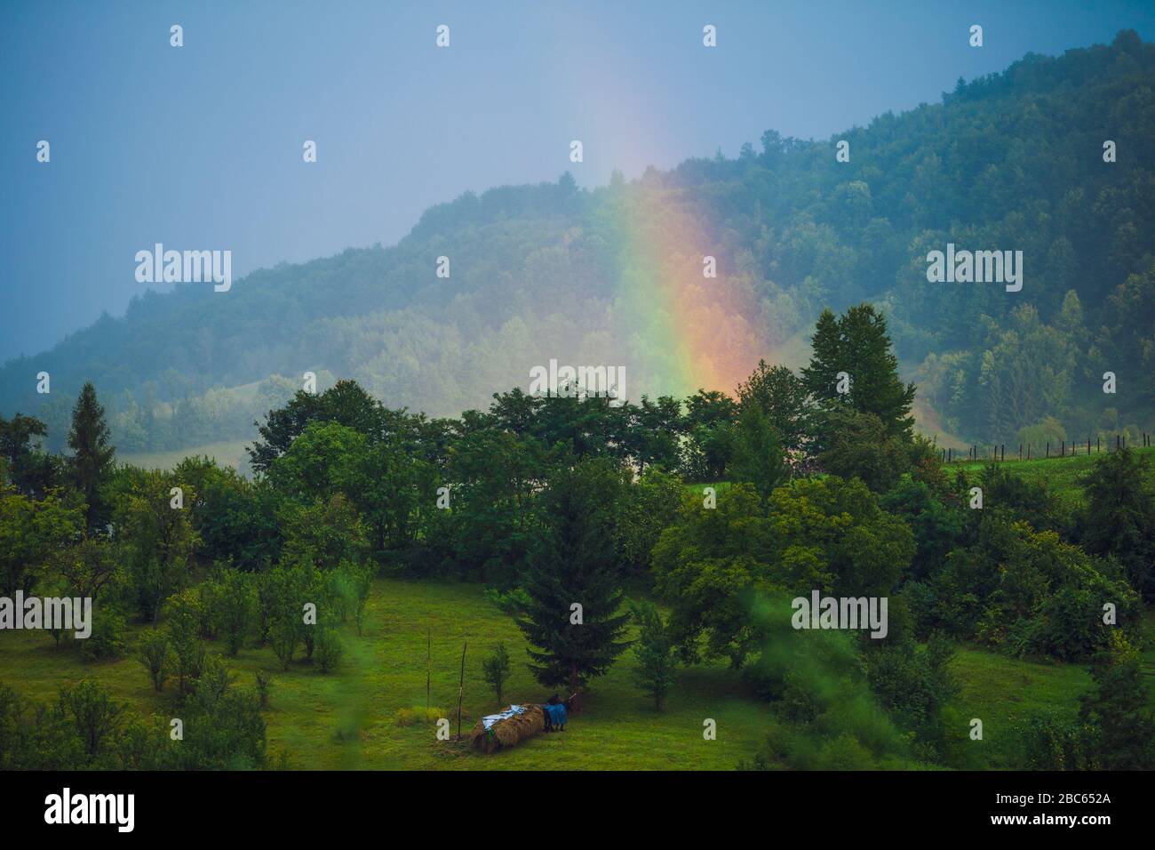 The end of the rainbow seen over a hill with trees and horse driven ...