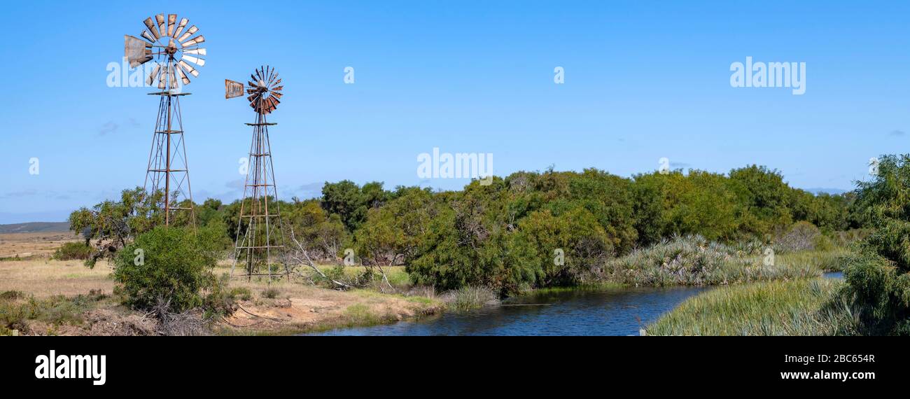 Elim, South Africa High Resolution Stock Photography and Images - Alamy